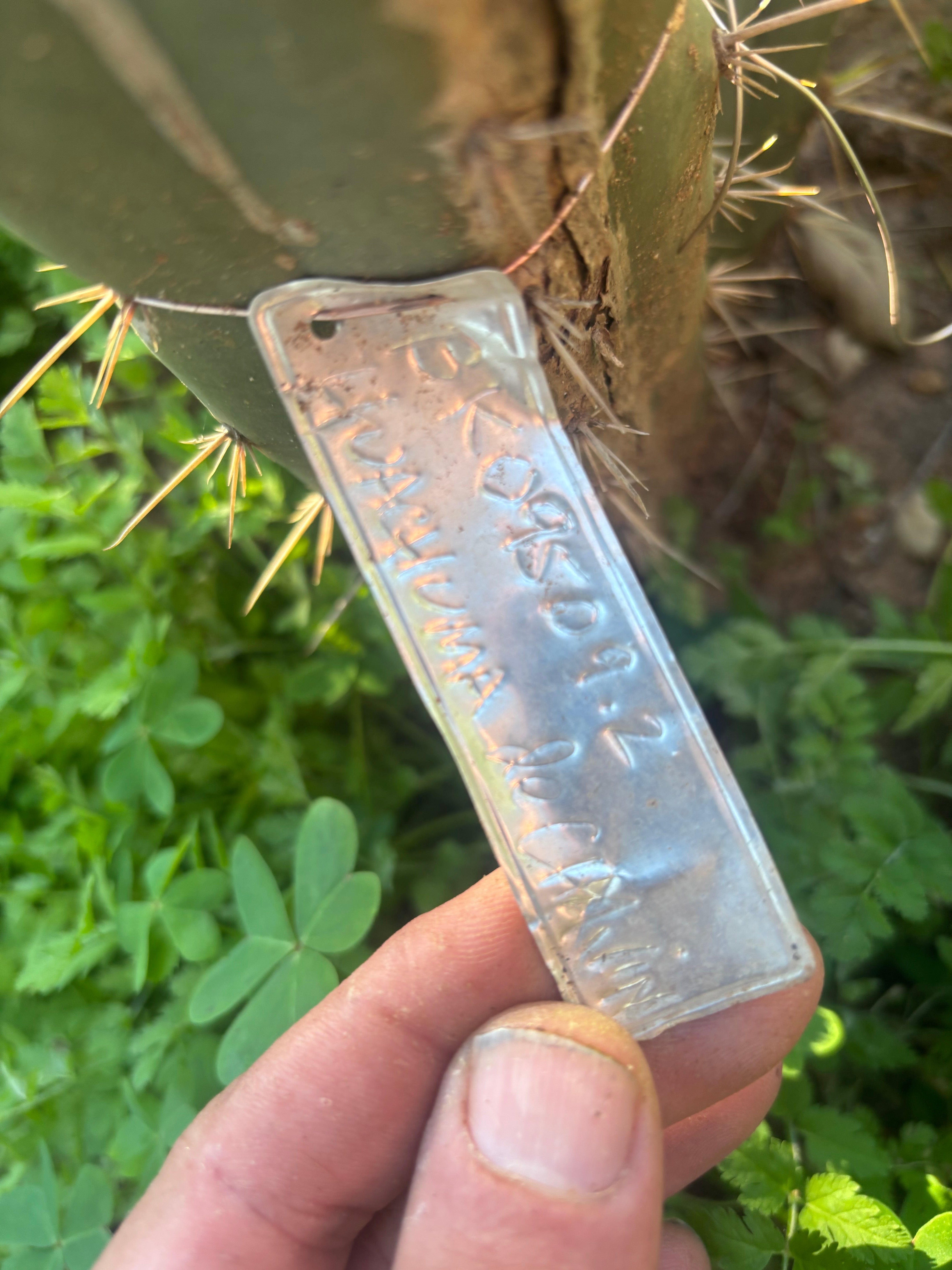 💎👑 BK08612.4 — Huachuma de Chavin — Chonky 10” Tip