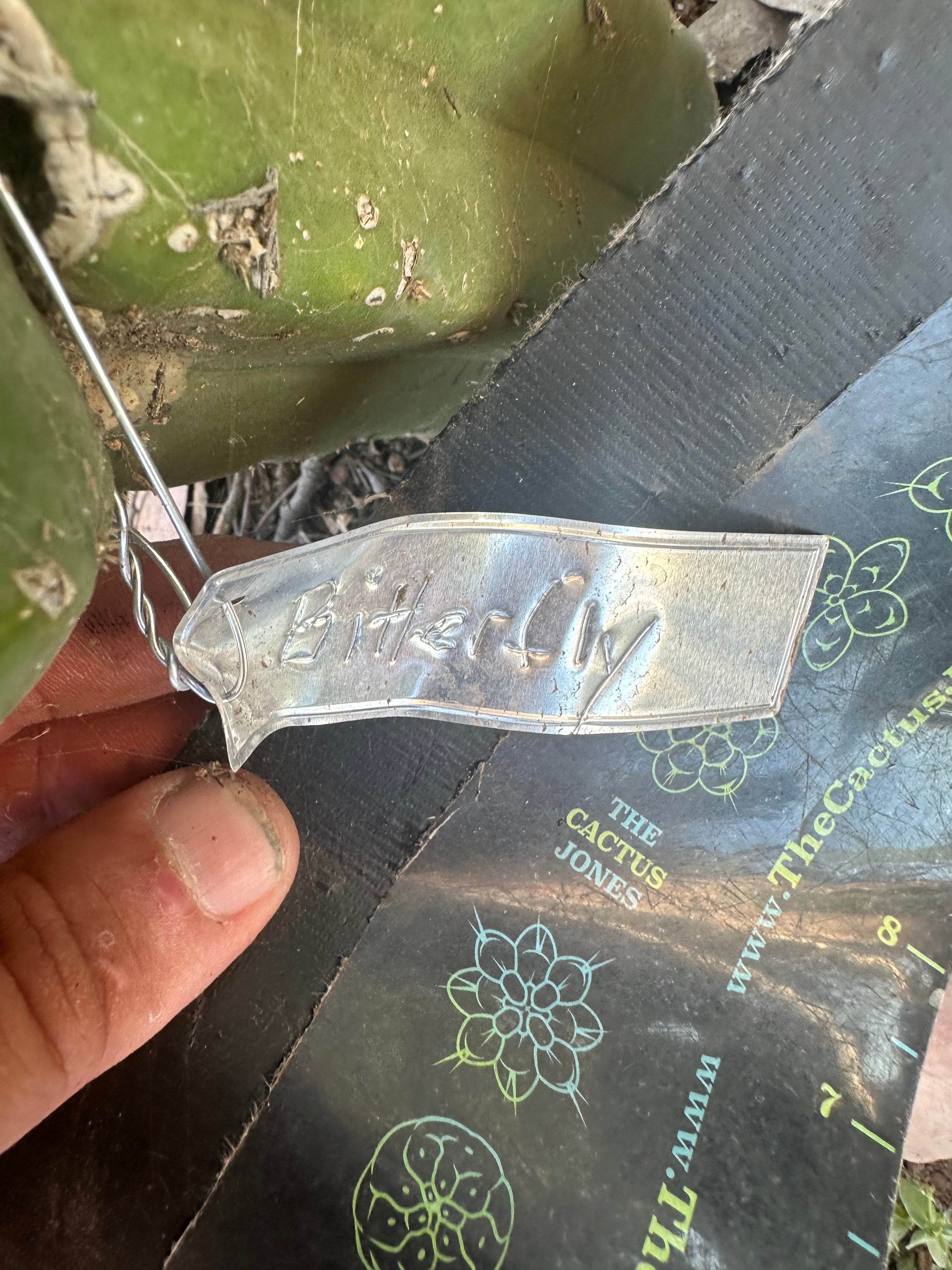 👑🌶️ Bitterfly — Chonky 10” Pup