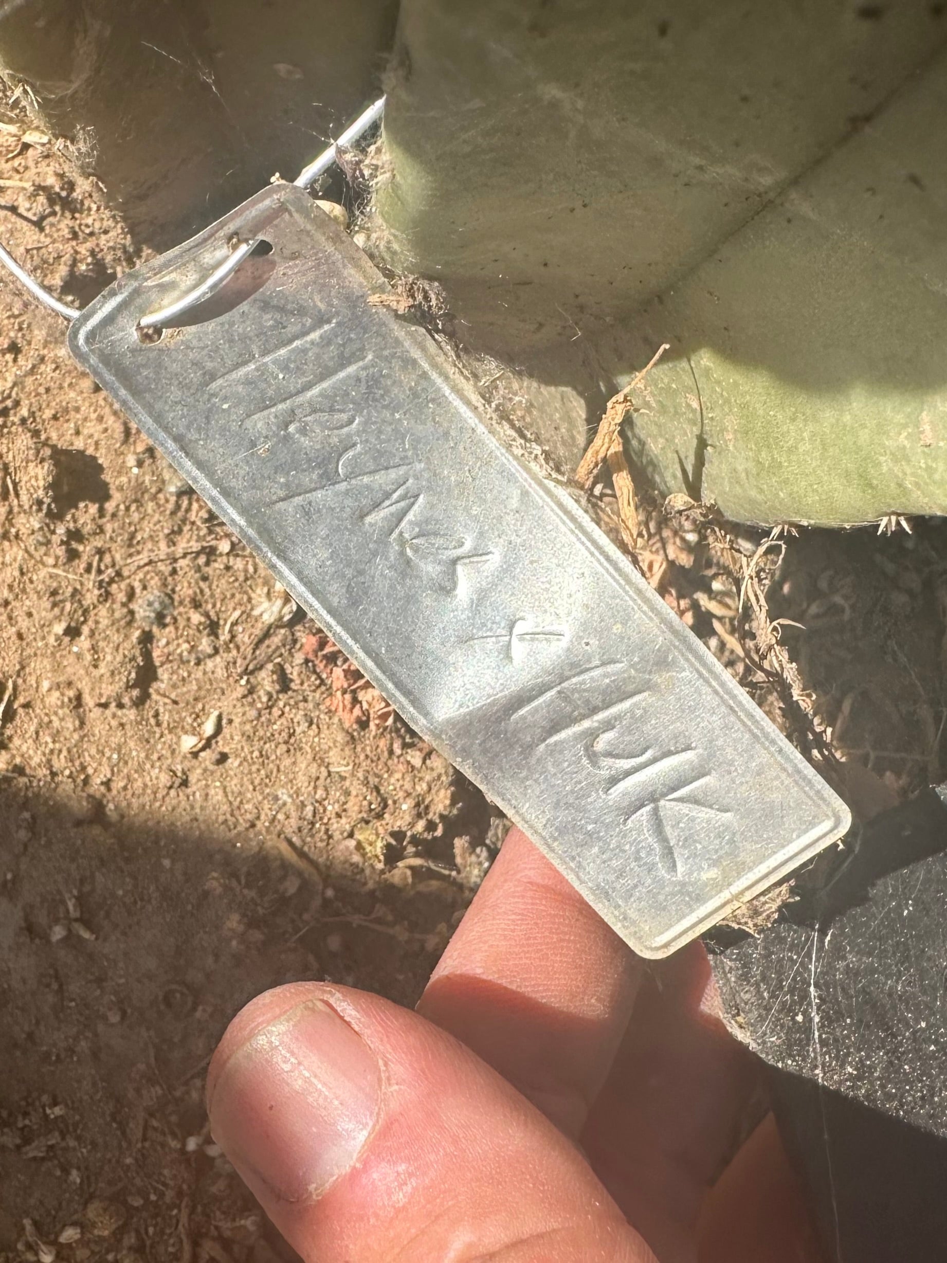 💎👑 Heynes x Hulk (Full Scop) — Chubby 10” Tip