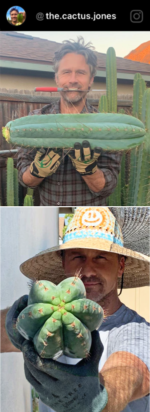 About The Cactus Jones. Shop Trichocereus cactus. Buy San Pedro cactus